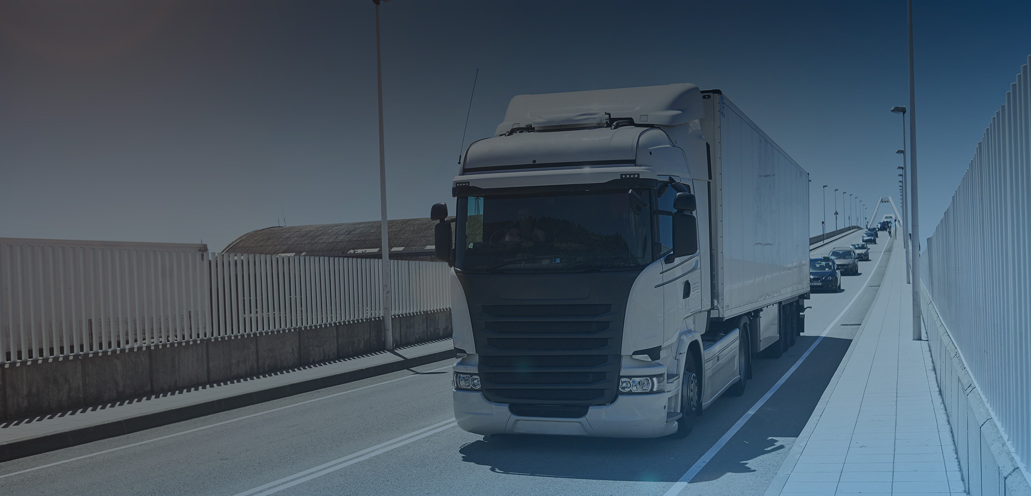 Maecenas aliquam vel ante vitae eleifend. - MYCOM